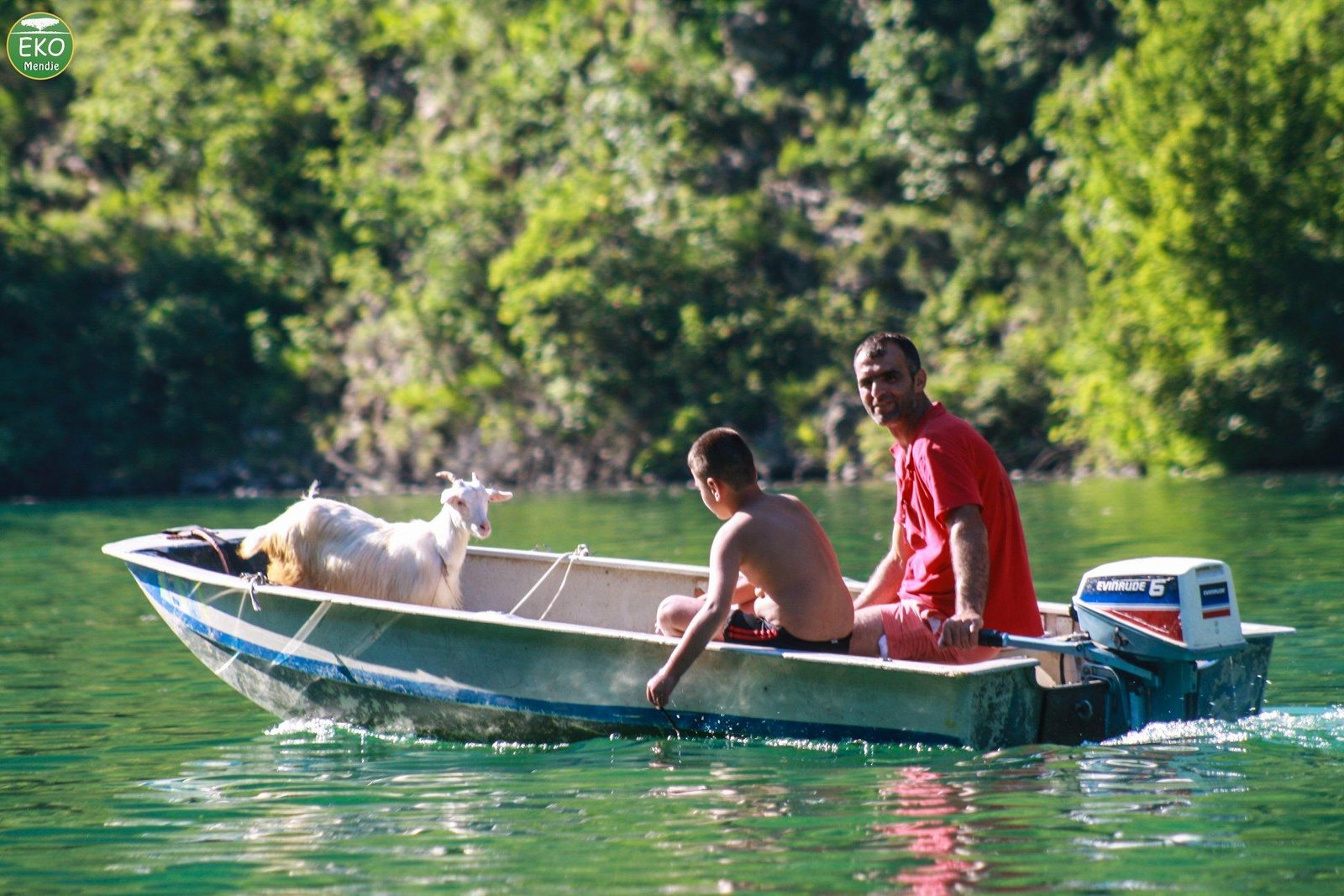 Lake koman & Shala river tour - Shala River Boat Tours